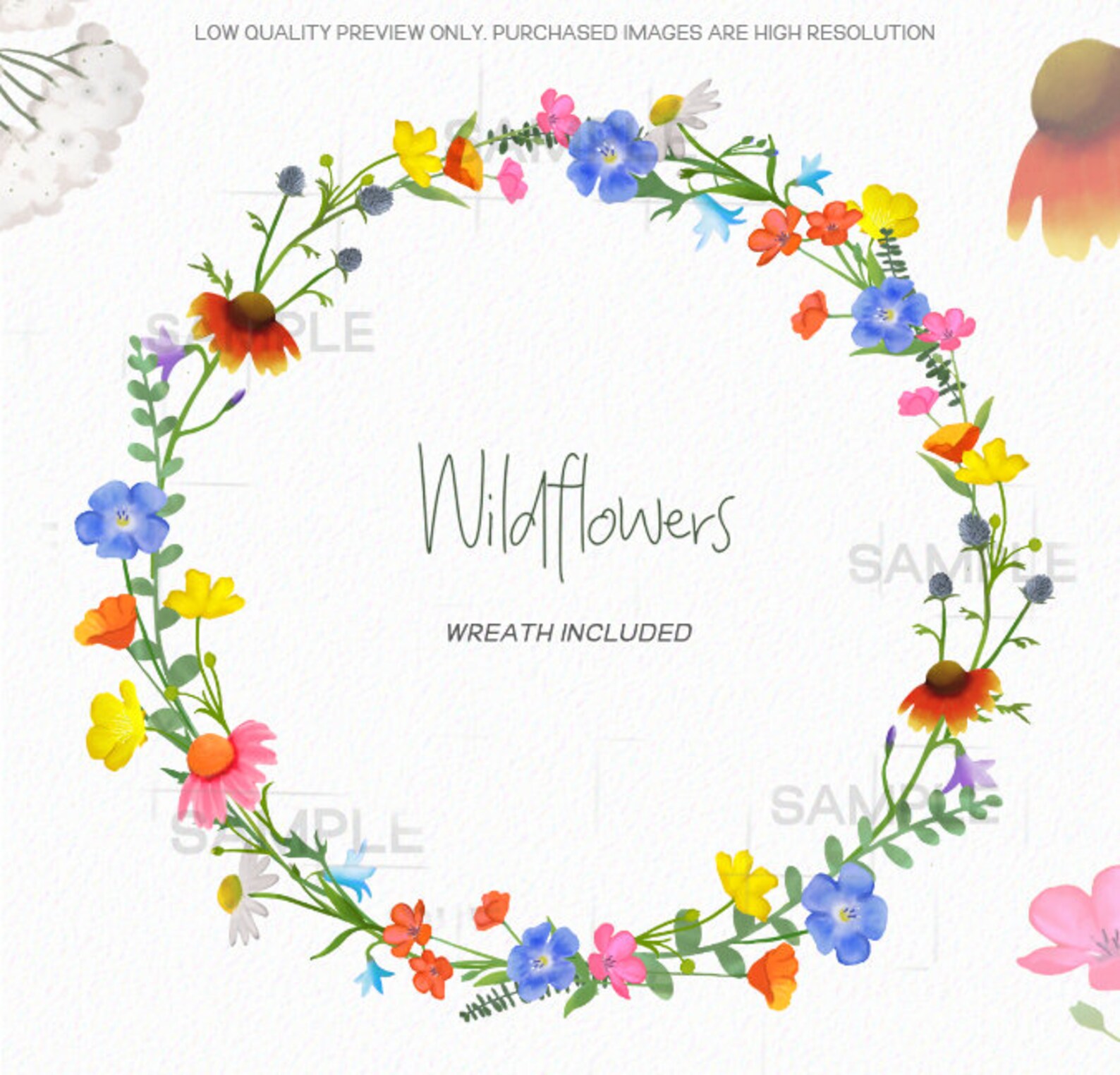 Wildflower Clipart Botanical Hand Drawn Floral Png Files - Etsy