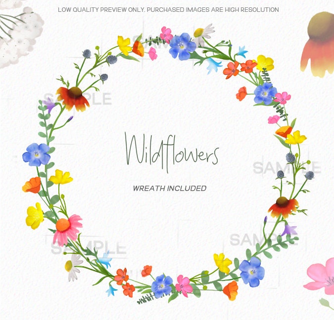 Wildflower Clipart Botanical Hand Drawn Floral Png Files - Etsy