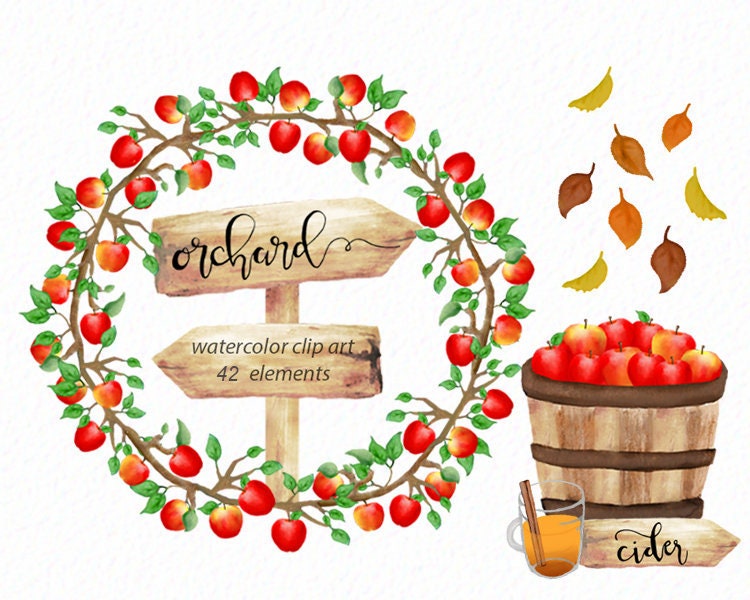 Apple Orchard clip art Watercolor apples fruit clipart | Etsy
