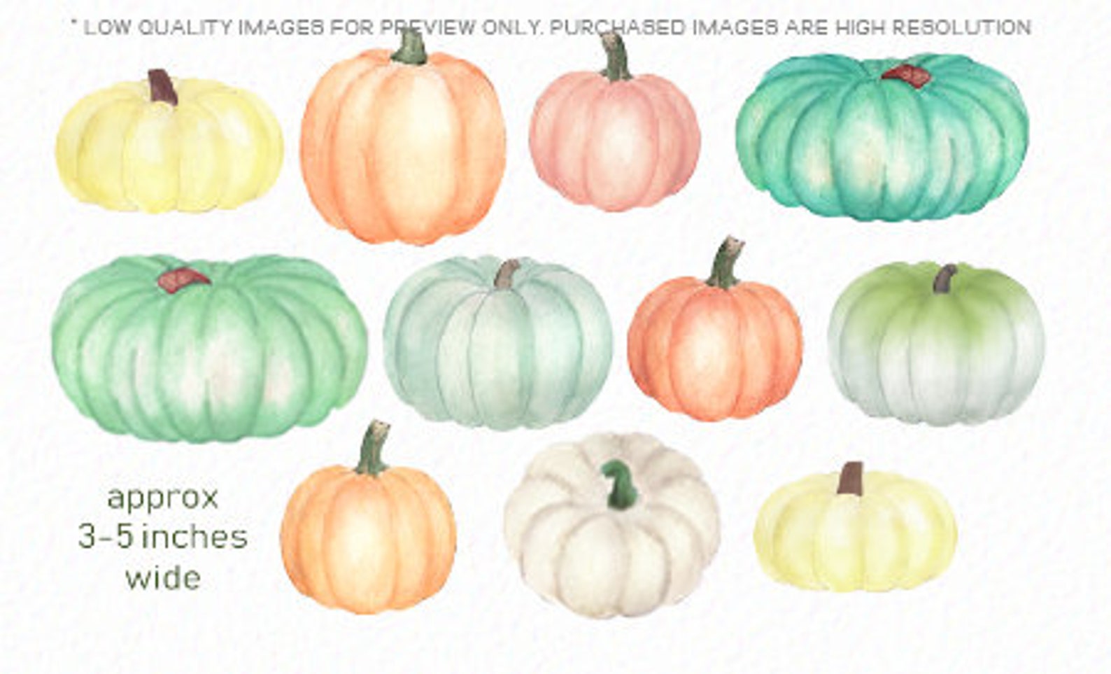 Handpainted Rustic Watercolor Pumpkins - Neutral Pumpkins - White ...