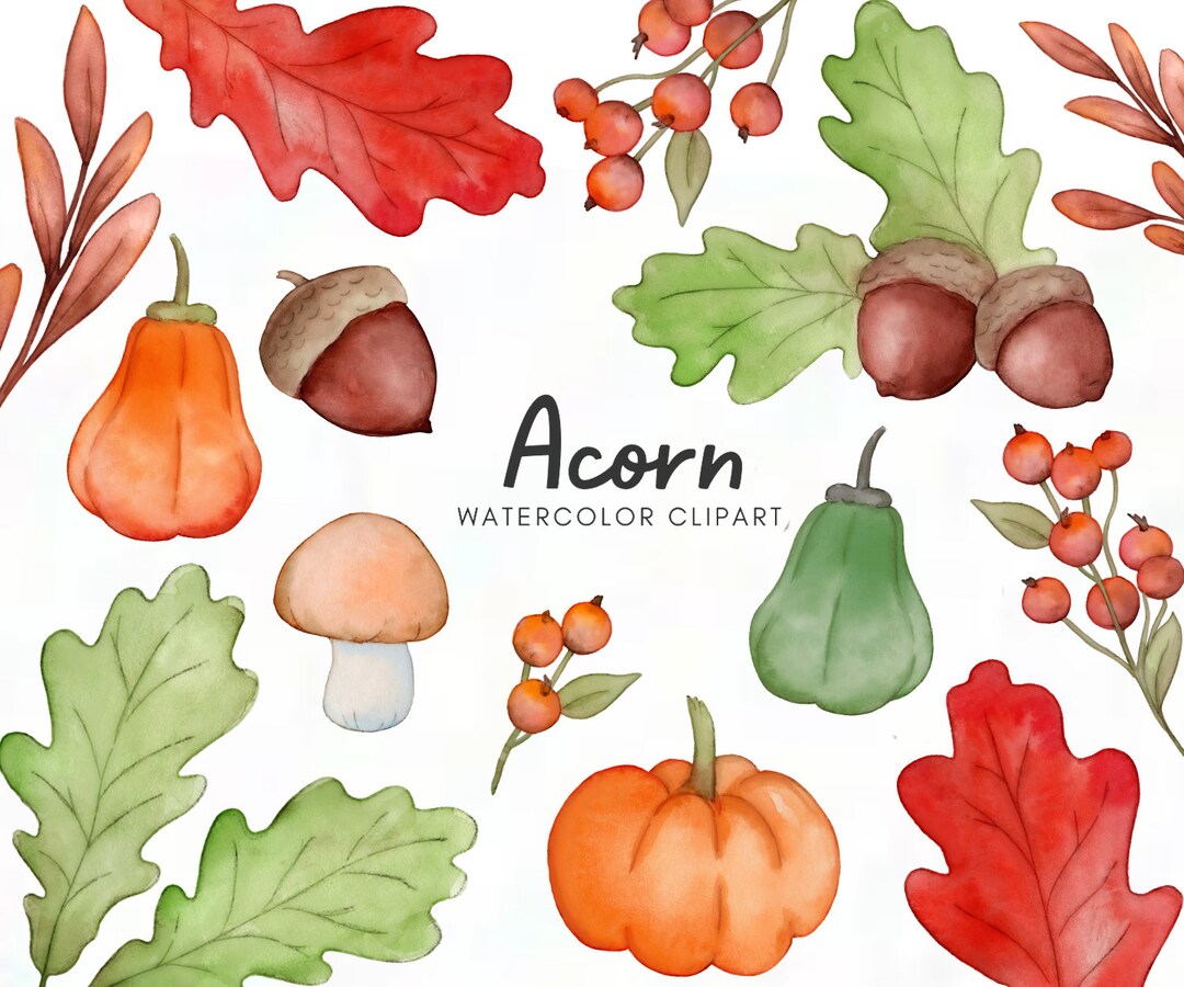 Handpainted Watercolor Acorn Clipart - Fall Clipart - Orange Pumpkin ...