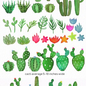 Watercolor Cactus Cactus Clipart Watercolor Succulents Succulent Clip ...