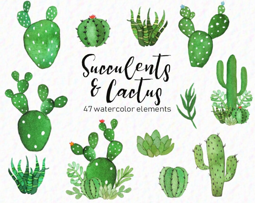 Handpainted Watercolor Cactus - Cactus Clipart - Watercolor Succulents ...