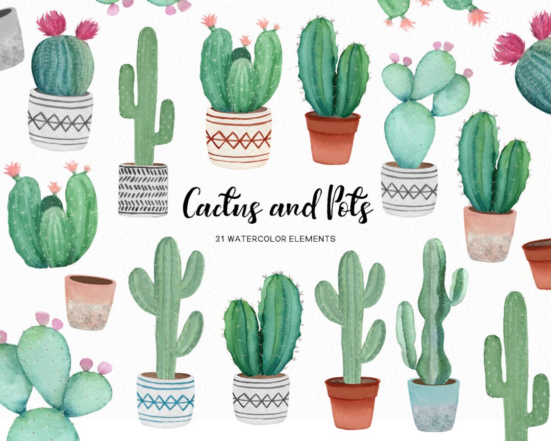 Watercolor Cactus Succulent Clipart Watercolor Succulents cactii ...