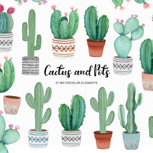 Watercolor Cactus Clipart Doodles Succulents Instant - Etsy