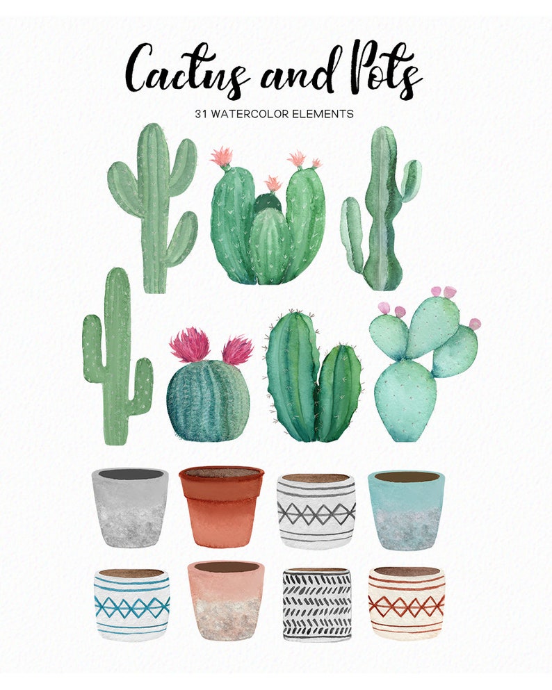 Watercolor Cactus Succulent Clipart Watercolor Succulents | Etsy