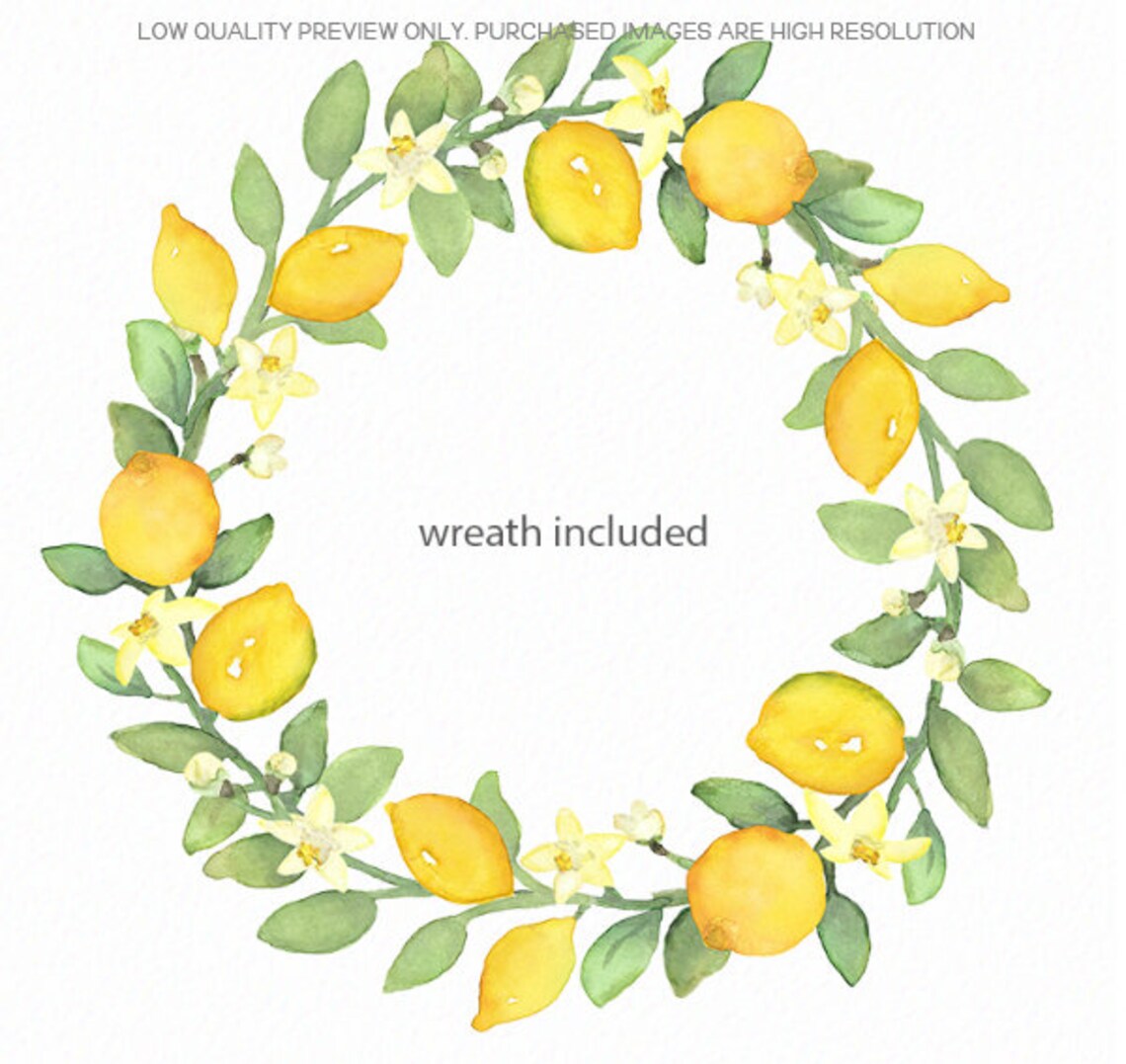 Lemon Clip Art Watercolor Lemons Fruit Clip Art Spring | Etsy