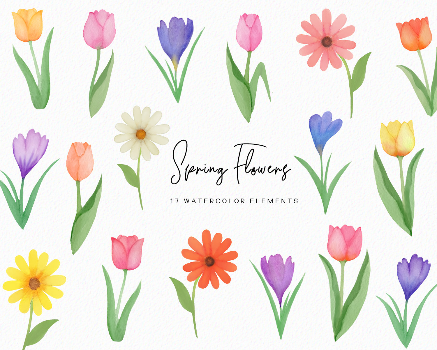 Demand And Supply Clipart Flowers