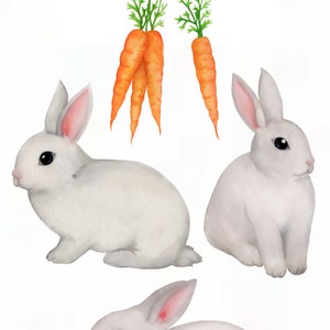 Handpainted Watercolor Rabbits - Bunny Clipart - Cute Clipart - Easter ...