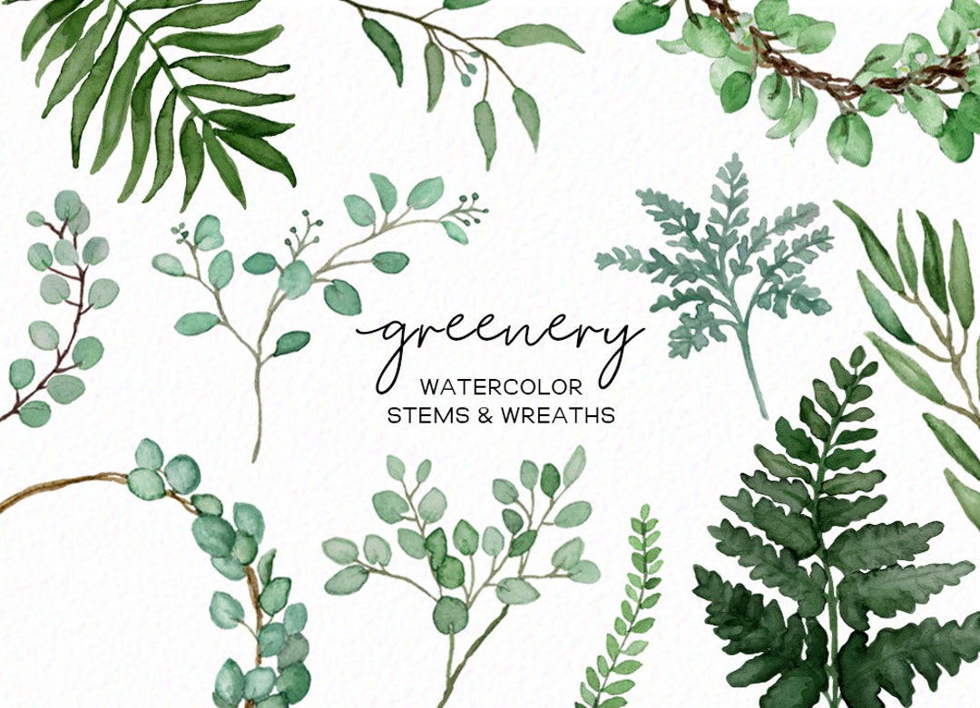 Watercolor Greenery Eucalyptus Clipart Watercolor Fern Botanical Stems ...