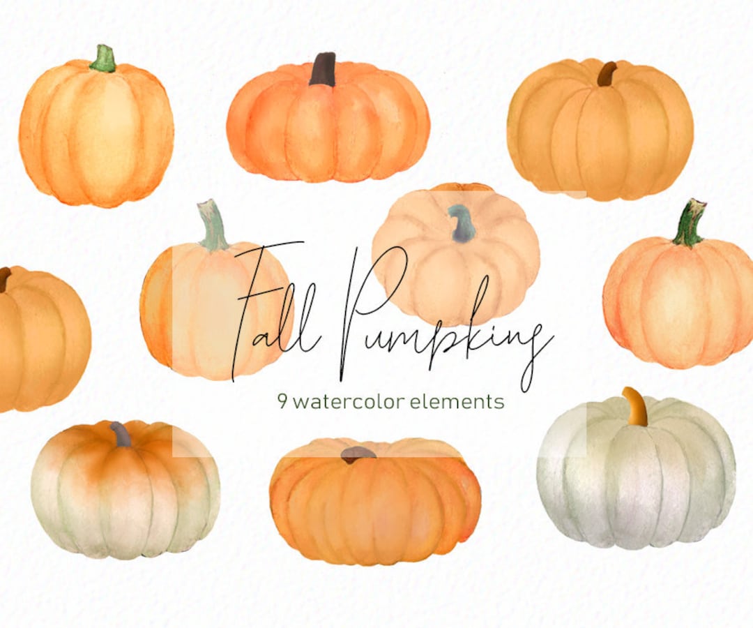 Handpainted Watercolor Pumpkin Clipart: Fall Harvest (commercial Use ...