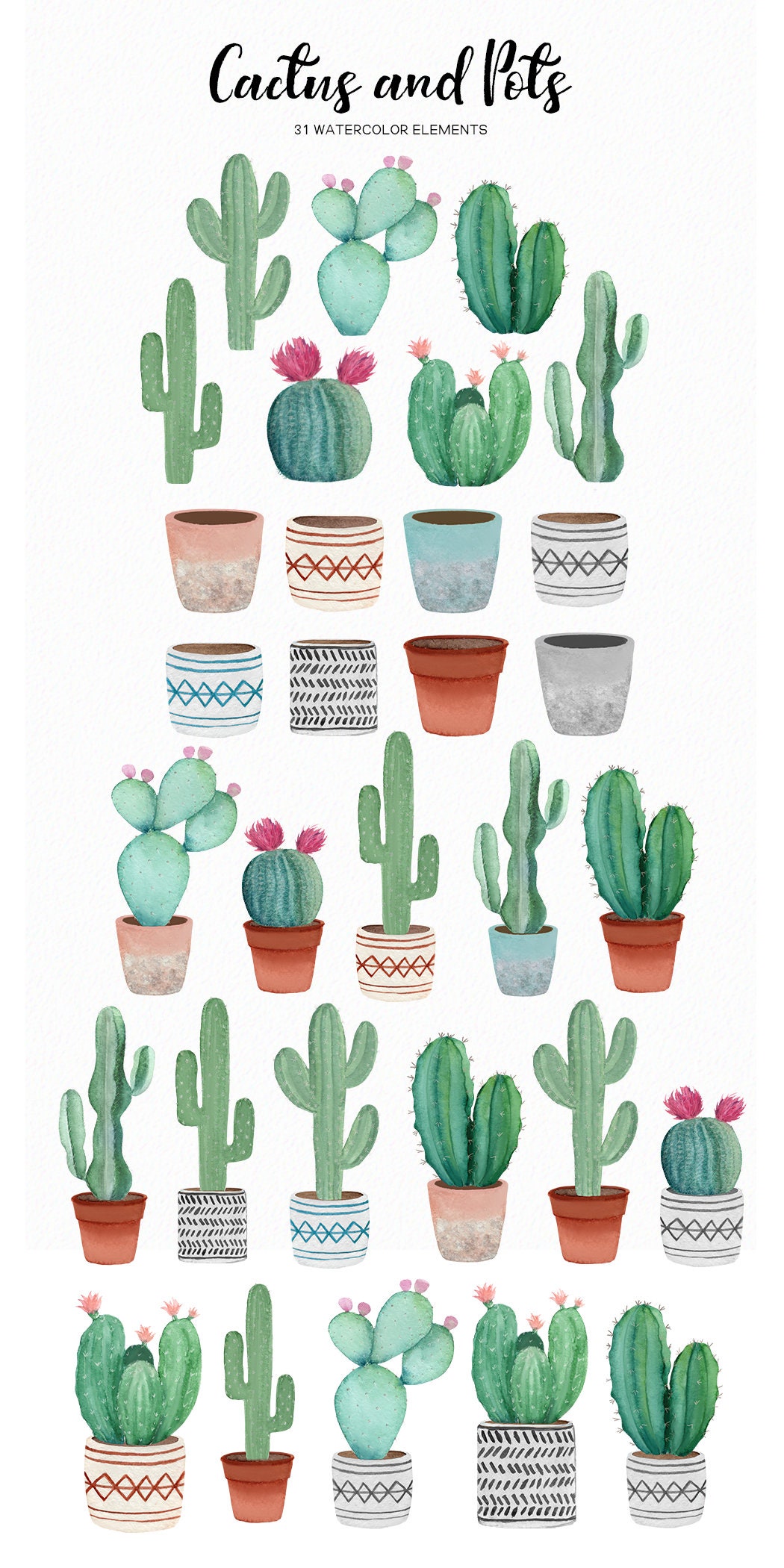 Watercolor Cactus Succulent Clipart Watercolor Succulents | Etsy