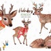 Watercolor Reindeer Clipart winter Animals Watercolor Deer | Etsy