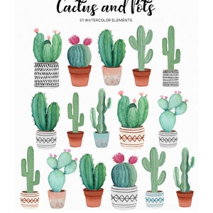 Watercolor Cactus Succulent Clipart Watercolor Succulents cactii ...