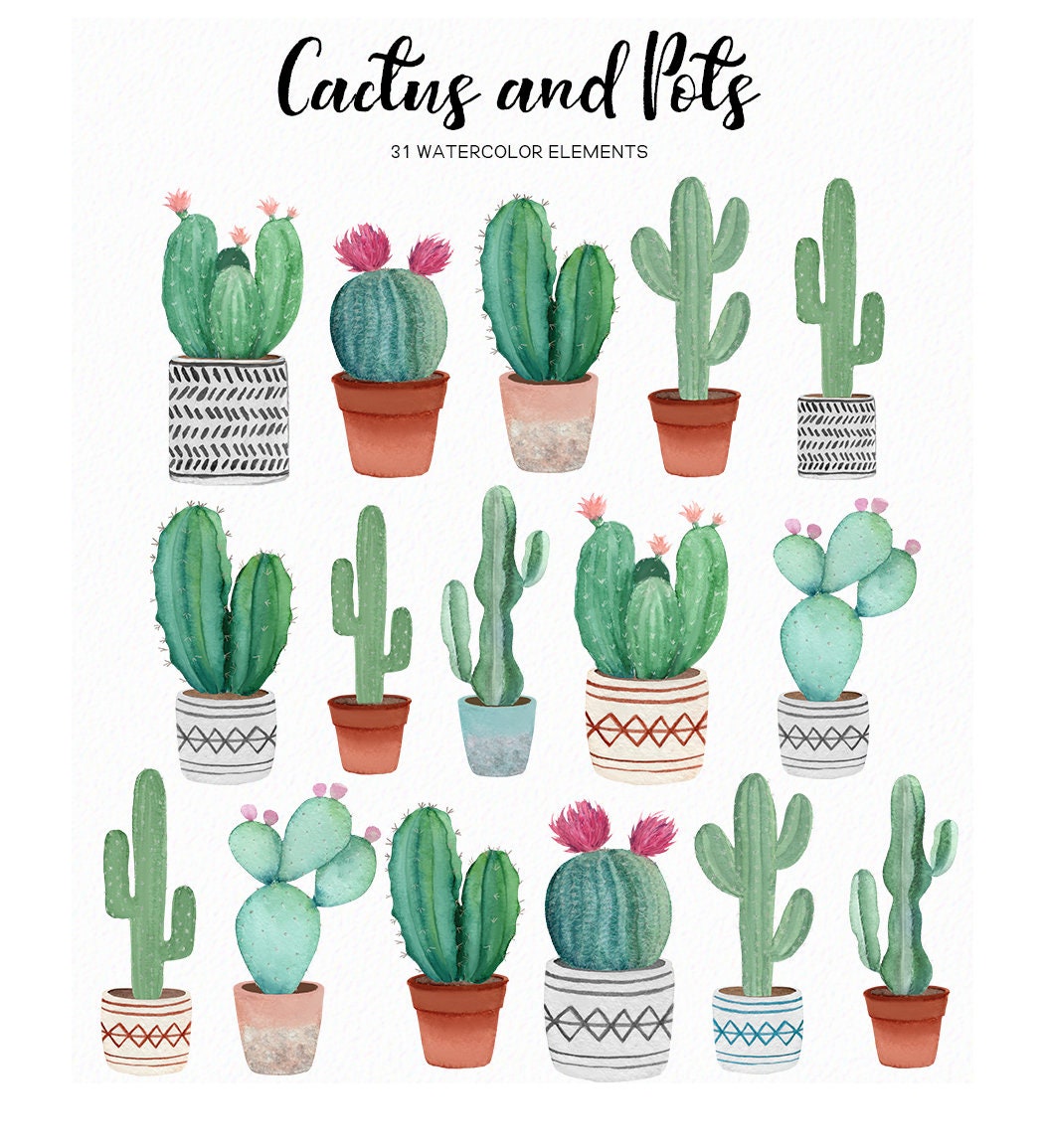 Watercolor Cactus Succulent Clipart Watercolor Succulents | Etsy