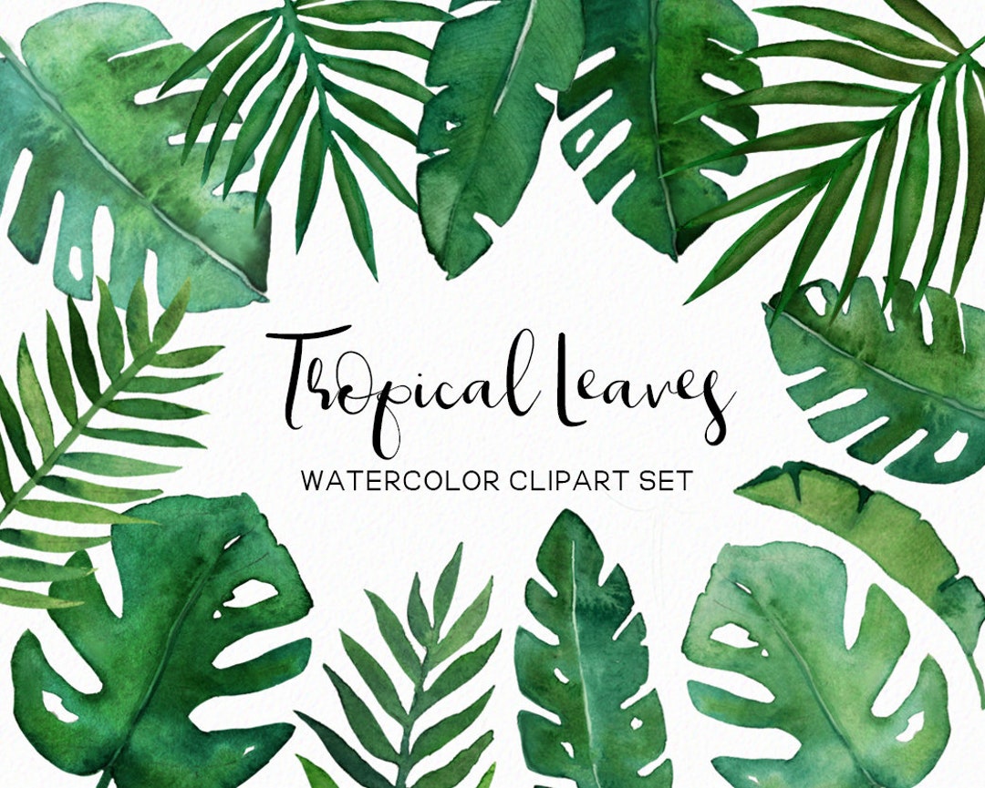 Watercolor Tropical Leaves Tropical Clipart Watercolor - Etsy