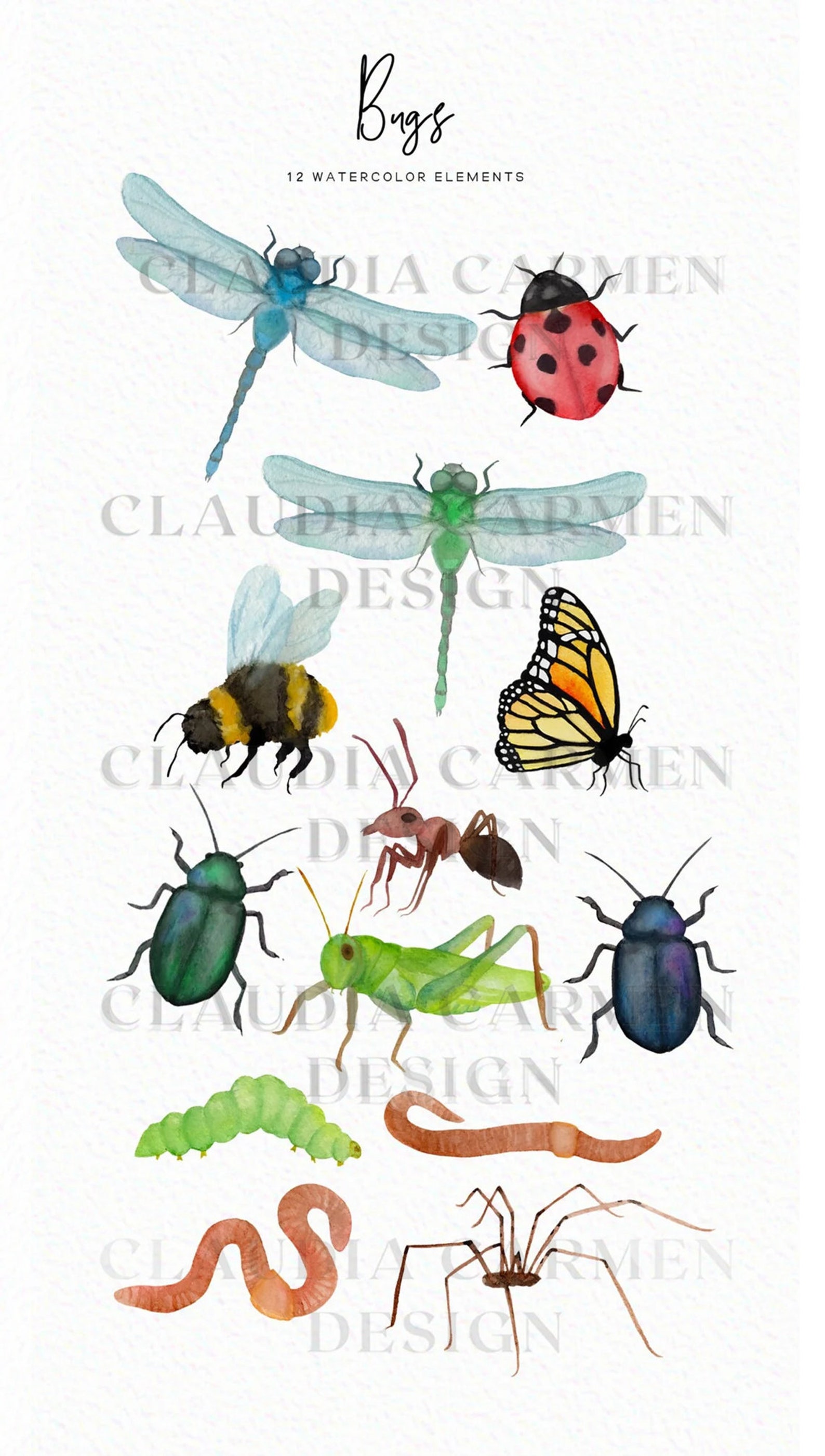 Handpainted Watercolor Bug Clipart: Butterfly, Spider, Insects (digital ...
