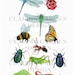 Watercolor Bugs Watercolor Insects Spider Butterfly Clipart Spring ...