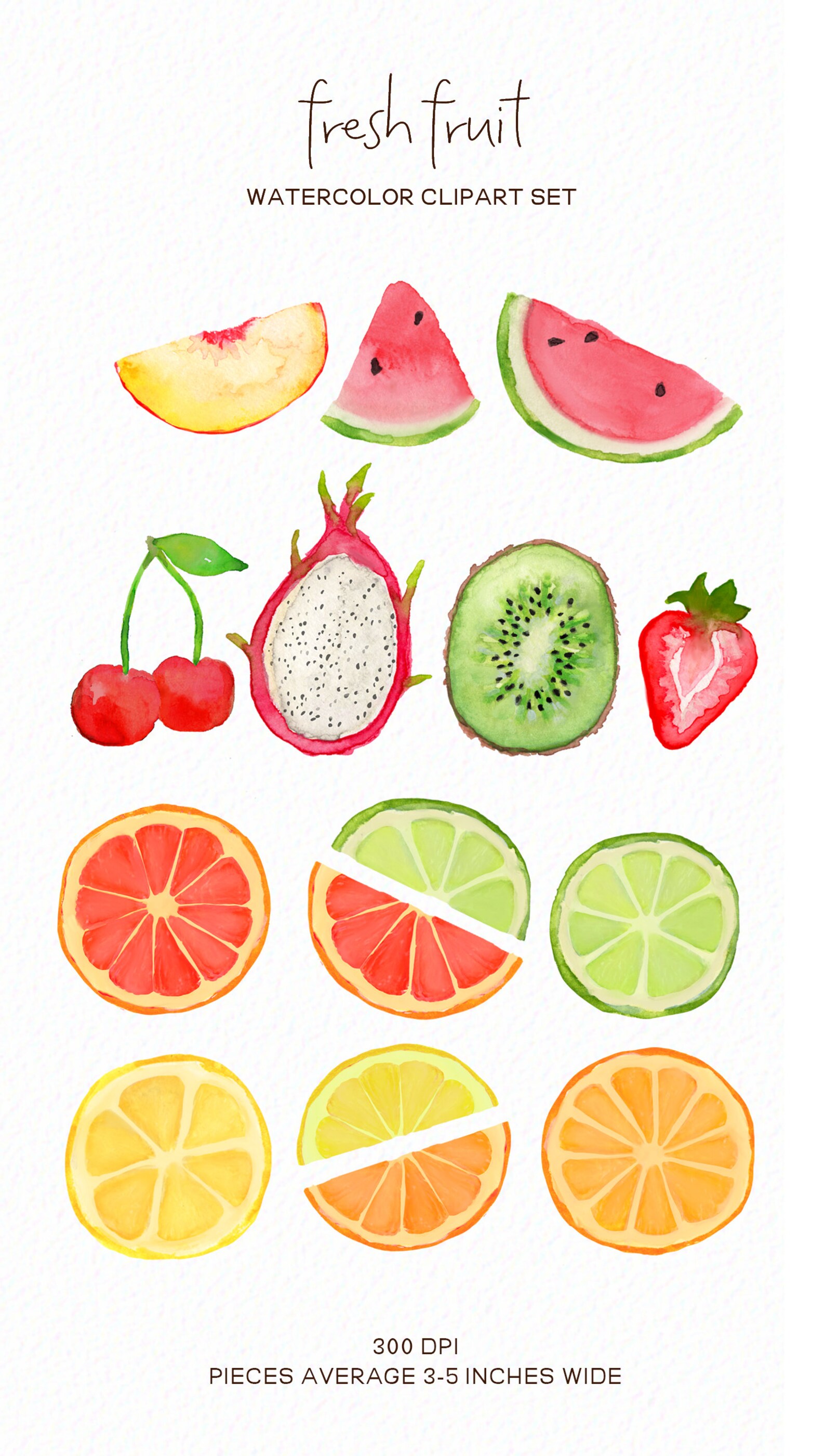 Fruit Clip Art Watercolor Fruit Watermelon Citrus Clip Art | Etsy