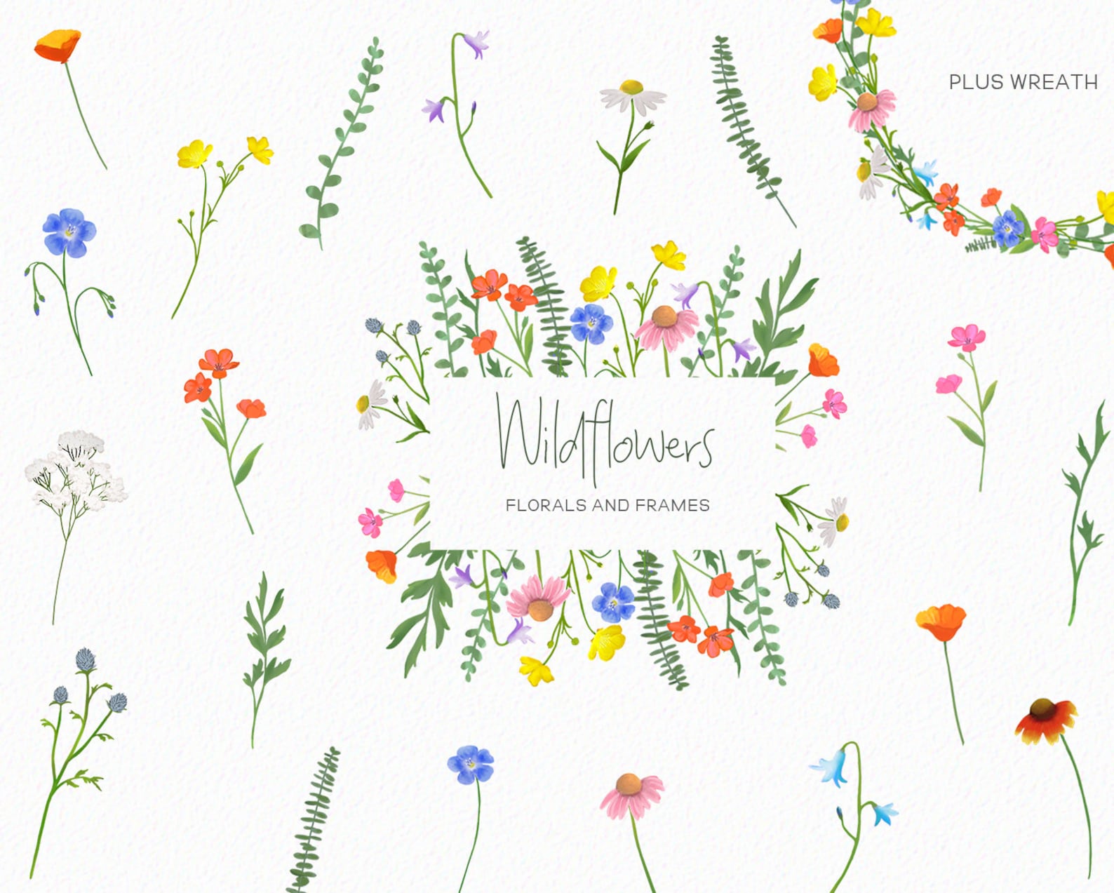 Wildflower Clipart Botanical Hand Drawn Floral Png Files - Etsy