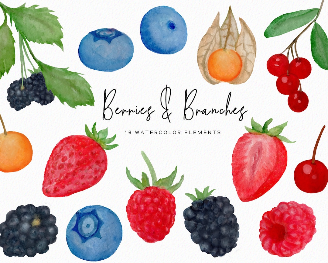 Handpainted Berry Clipart - Watercolor Fruit - Berries Clipart - Spring ...