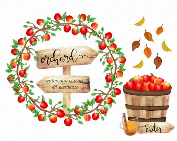 Apple Orchard Clip Art Watercolor Apples Fruit Clipart - Etsy