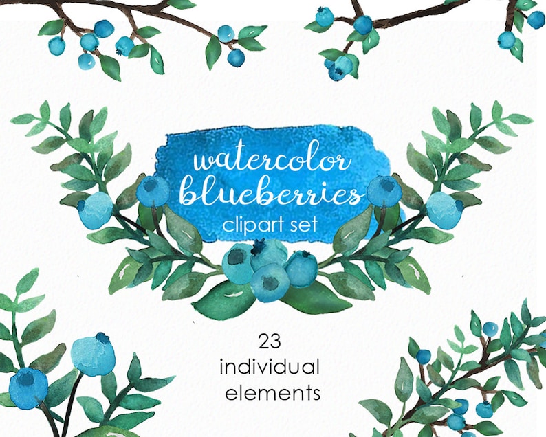 Watercolor Blueberry Clipart Set – Summer Fruit Graphics (digital ...