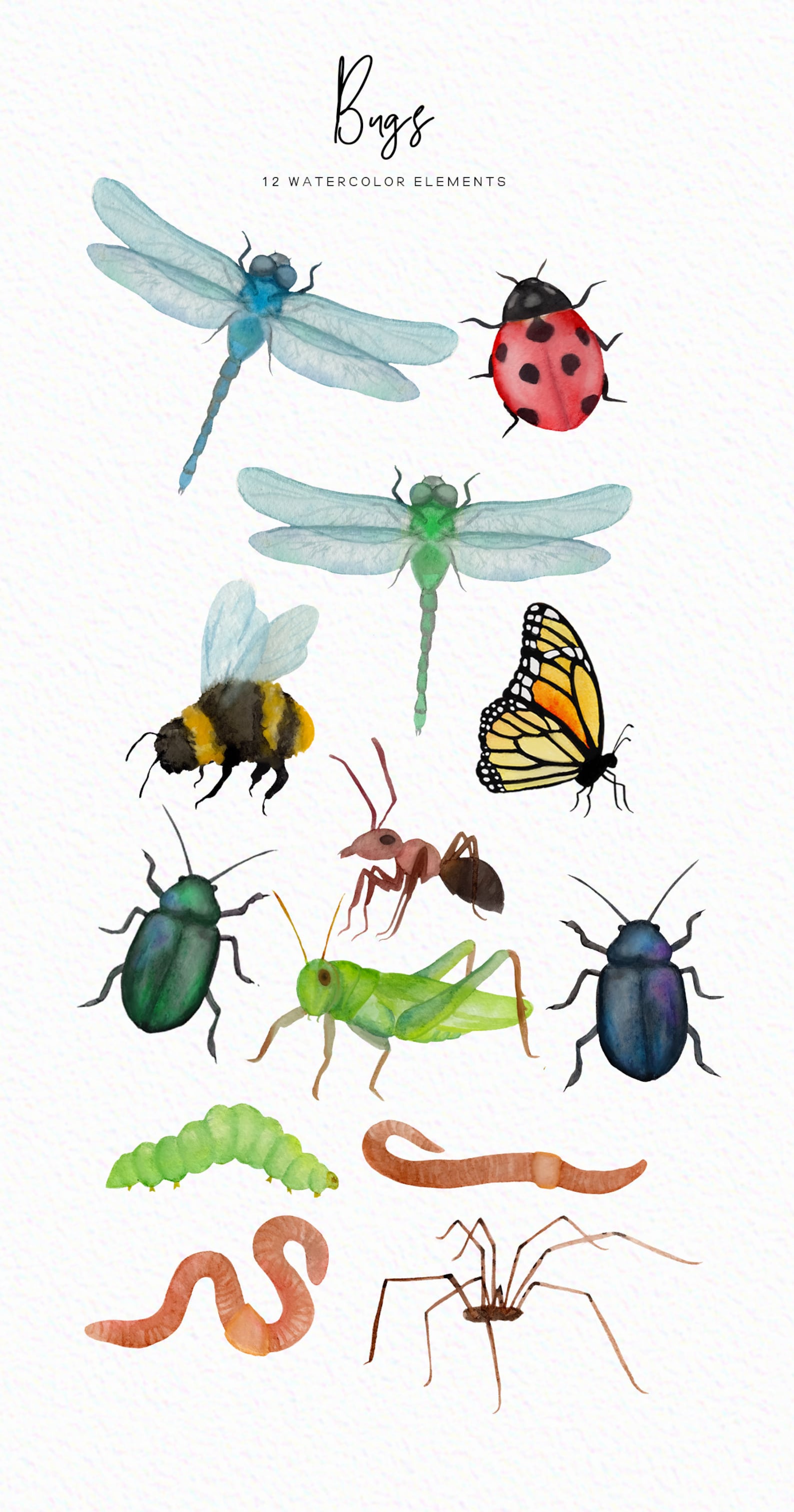 Watercolor Bugs Watercolor Insects Spider Butterfly Clipart - Etsy