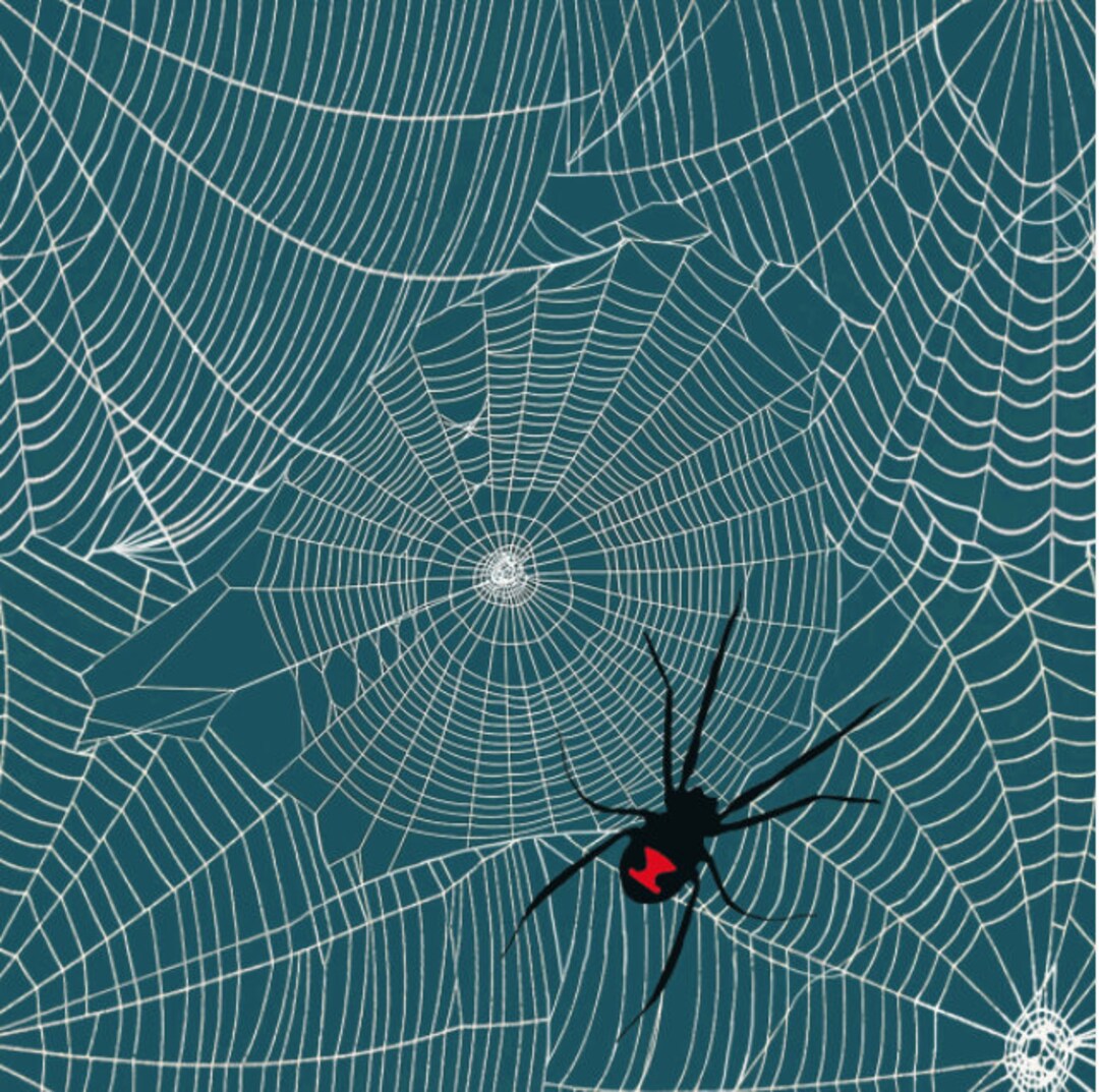 Spiders Webs Fabric by Anchoa - Cotton/ Polyester/ Jersey/ Canvas ...