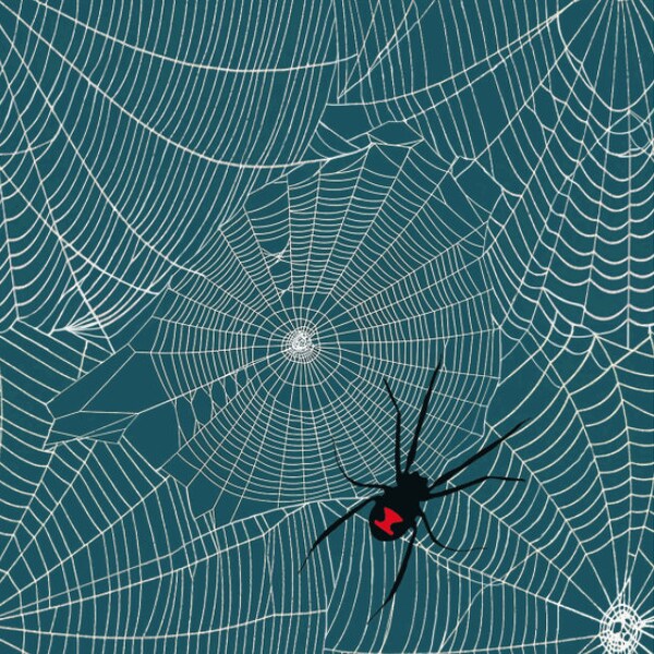 Spider Web Design - Etsy UK