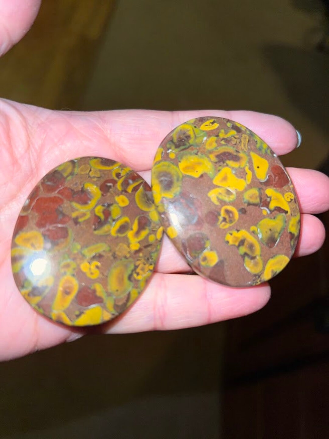 Fruit Jasper Palm Stone, Ajooba Jasper, Ajubalite, Medachite, Fossil ...