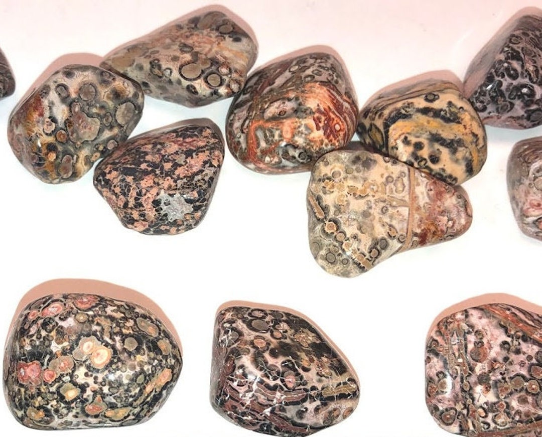 Leopard Skin Jasper, Jaguar Stone, S/M/L/XL, Tumbled - Etsy