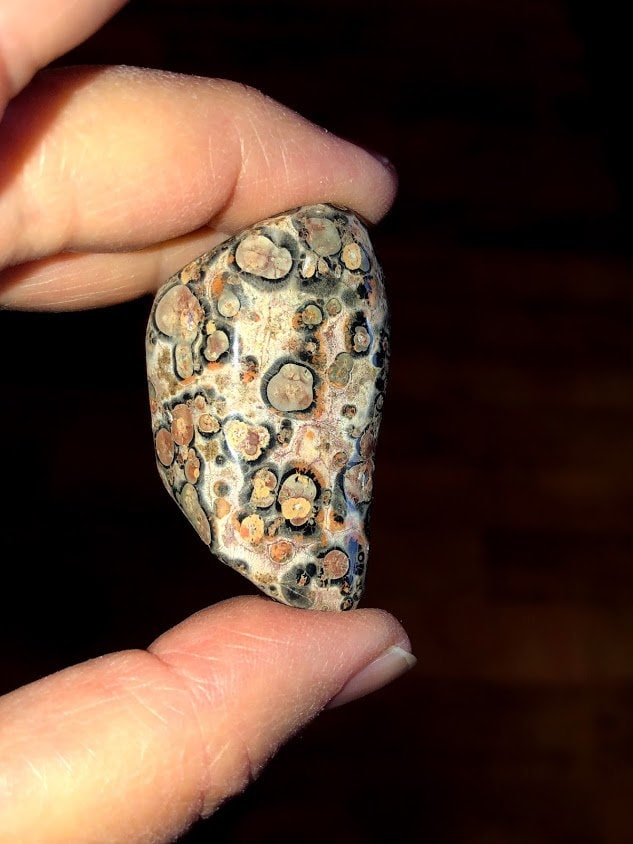 Leopard Skin Jasper Jaguar Stone S/M/L/XL Tumbled Connects - Etsy