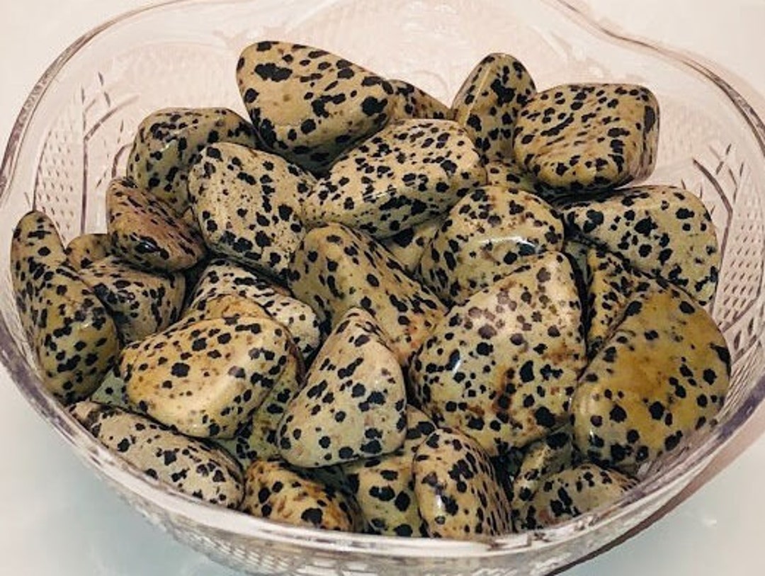 Dalmatian Jasper, S/M/L/XL, Tumbled, Natural Dalmatian Stone - Etsy