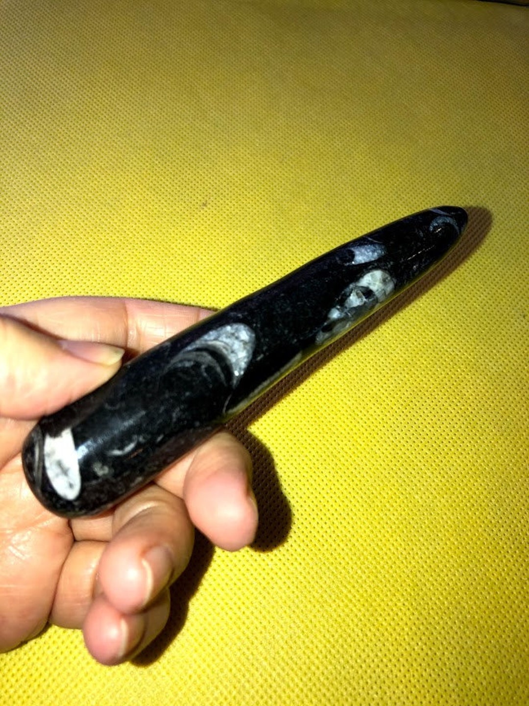 Orthoceras Fossil Wand, 4 3/4" X 1", 3.4 Oz, Tapered - Etsy