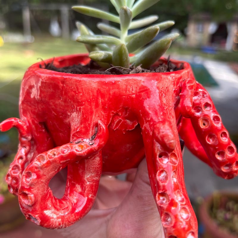 Octopus Planter - Etsy
