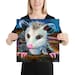 Fine Art Opossum Poster, Opossum Wall Art, Possum Home Decor, Possum ...
