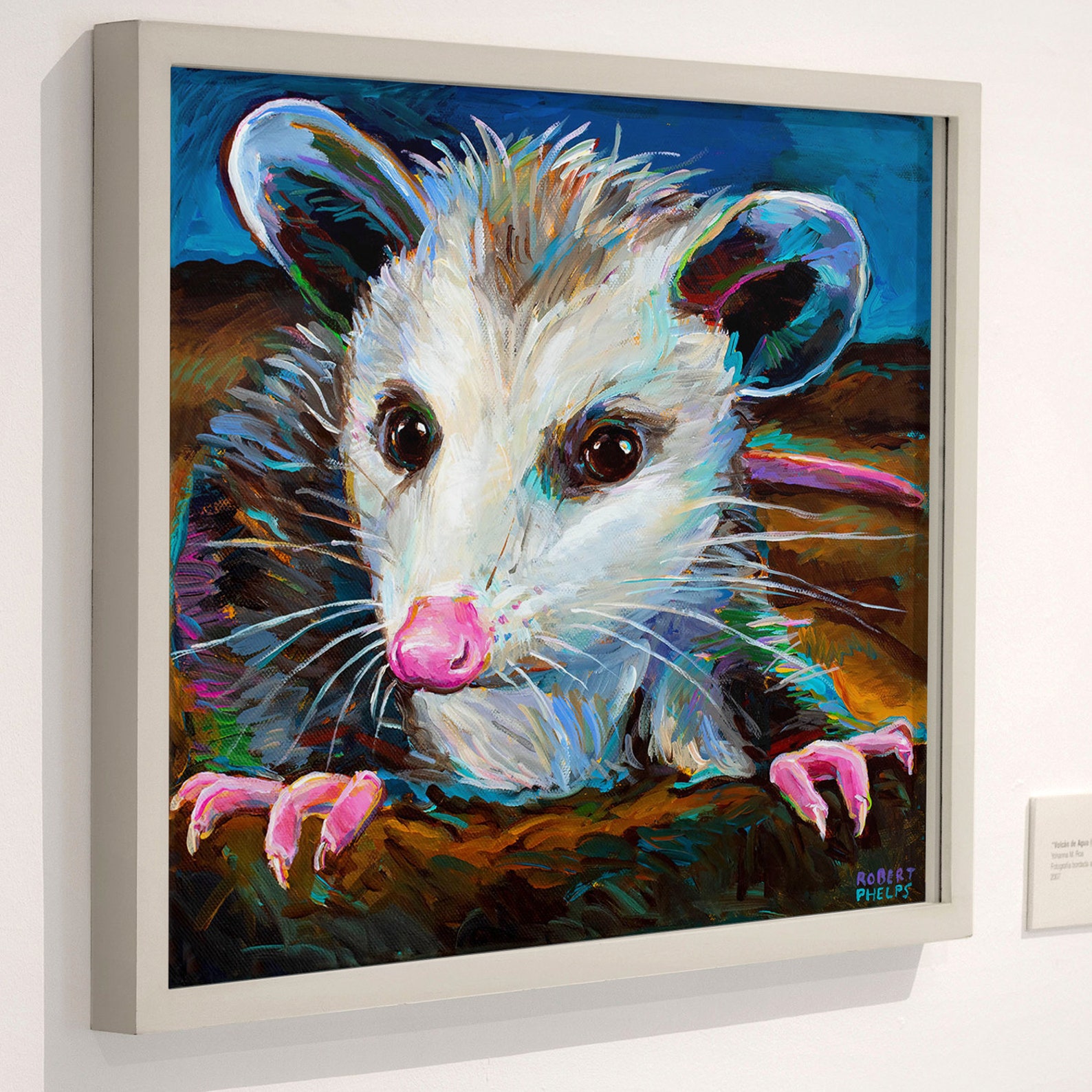 Fine Art Opossum Poster Opossum Wall Art Possum Home Decor - Etsy