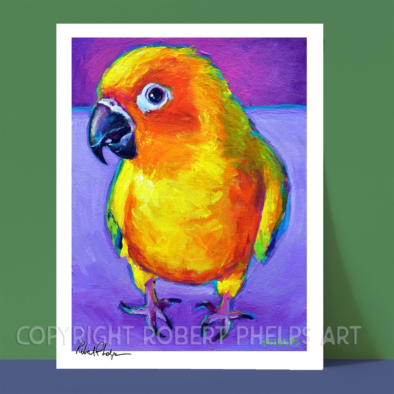 Conure Art - Etsy