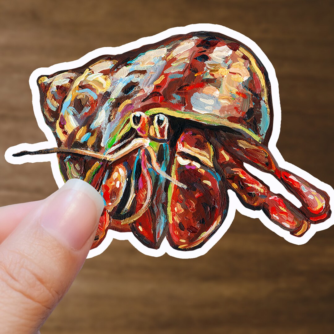 Hermit Crab Decal, Colorful Hermit Crab Stickers for Laptop or ...