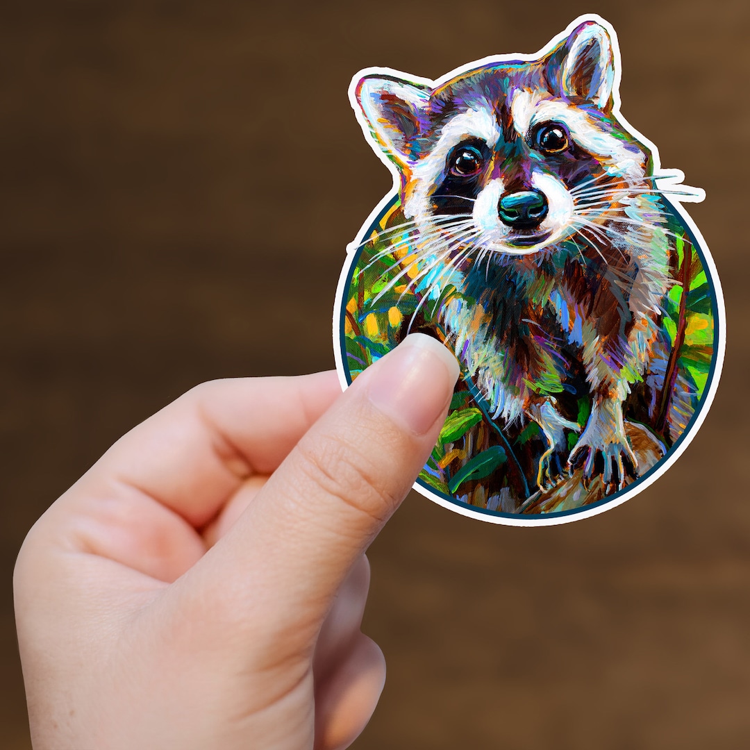 Cute Raccoon Stickers, Raccoon Lover Gifts, Kids Raccoon Decal ...