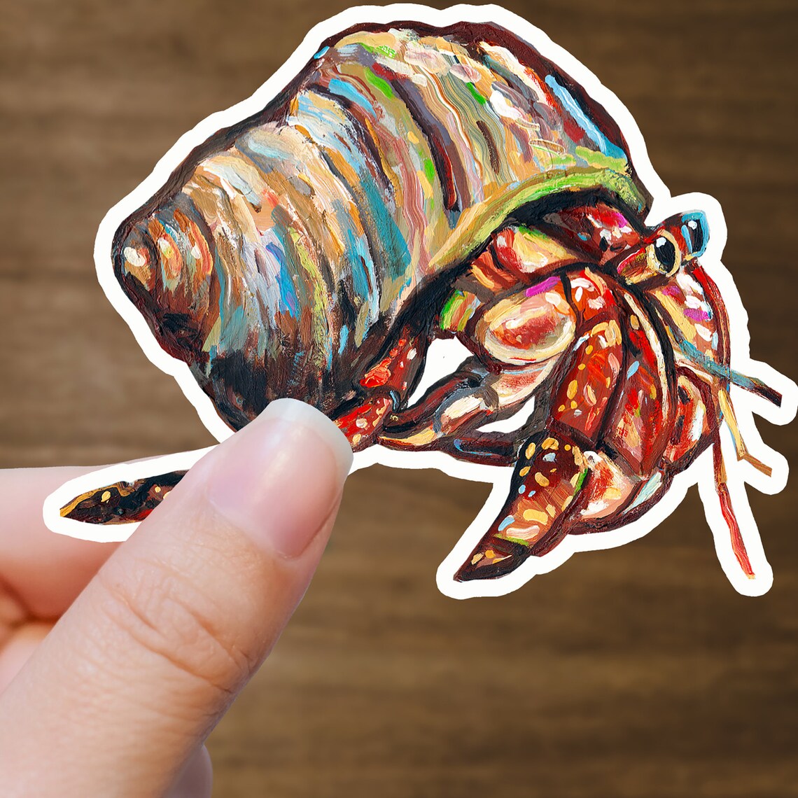 Hermit Crab Sticker, Hermit Crab Decal for Laptop, Hermit Crab Lover ...