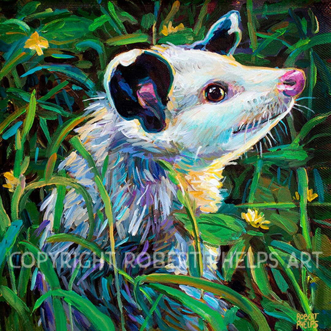 Fine Art Opossum Print, 7 X 7 Possum Wall Art - Etsy