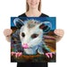Fine Art Opossum Poster, Opossum Wall Art, Possum Home Decor, Possum ...