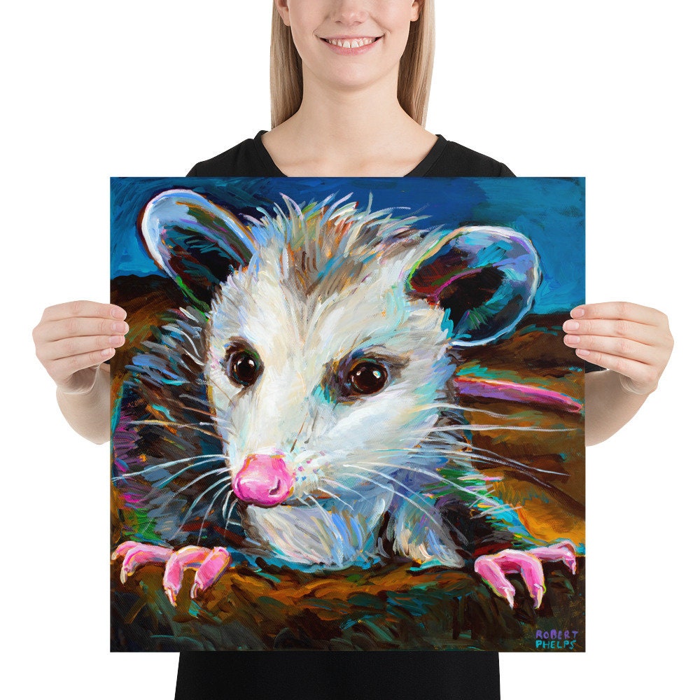 Fine Art Opossum Poster Opossum Wall Art Possum Home Decor - Etsy