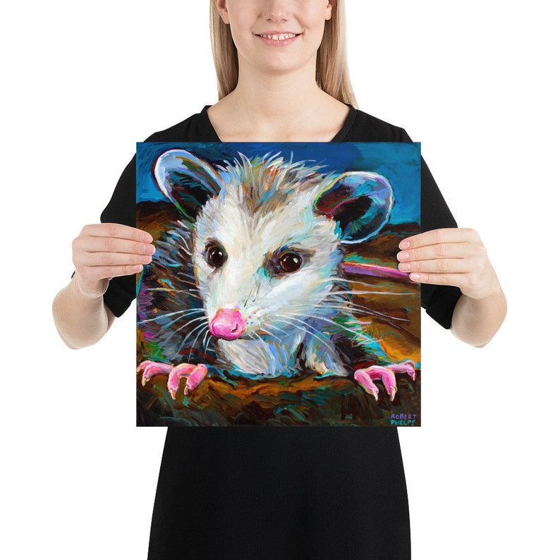 Fine Art Opossum Poster, Opossum Wall Art, Possum Home Decor, Possum ...