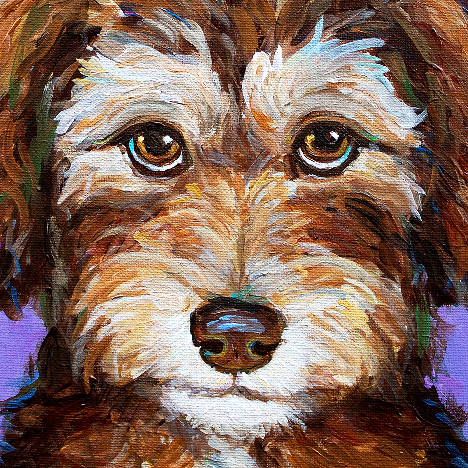 Fun 4x6 Unframed Aussiedoodle Mini Print for Dog Home Decor. | Etsy