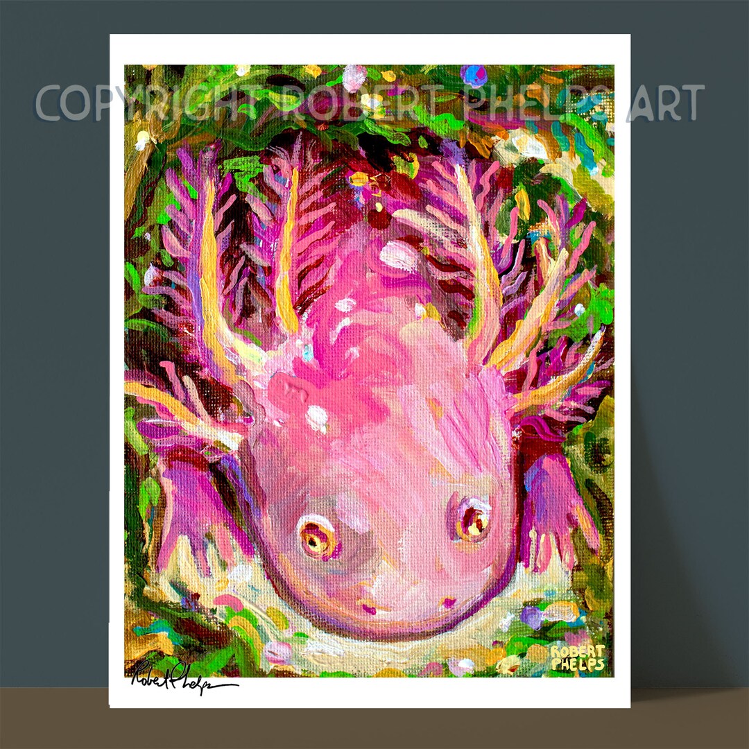 Colorful Pink Axolotl Fine Art Print - Vibrant Aquatic Wildlife Wall ...