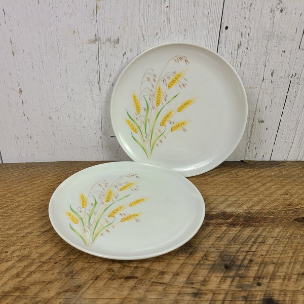 Camping Dishes - Etsy