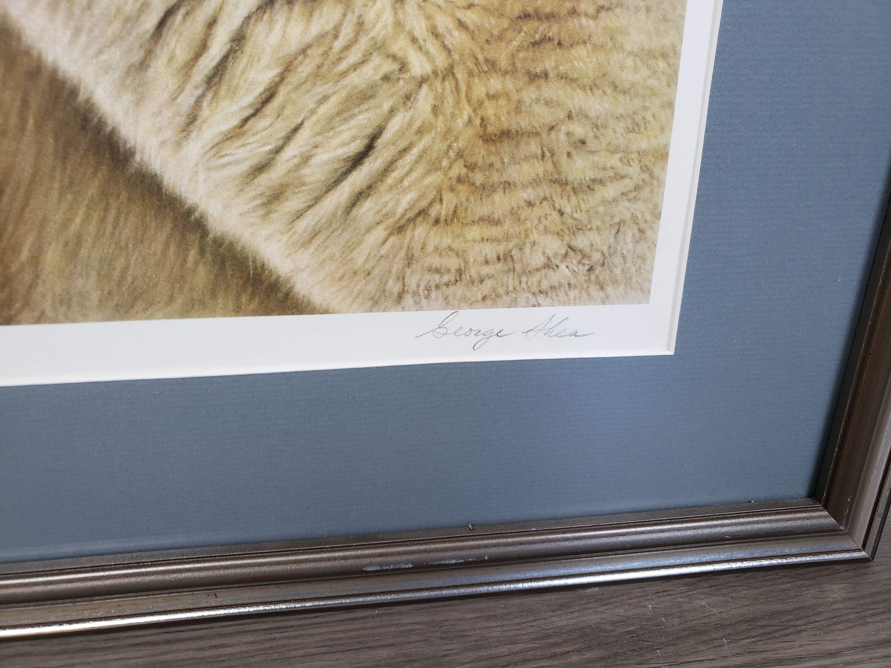 Vintage Pair of Polar Bears Extra Large George Shea Print - Etsy